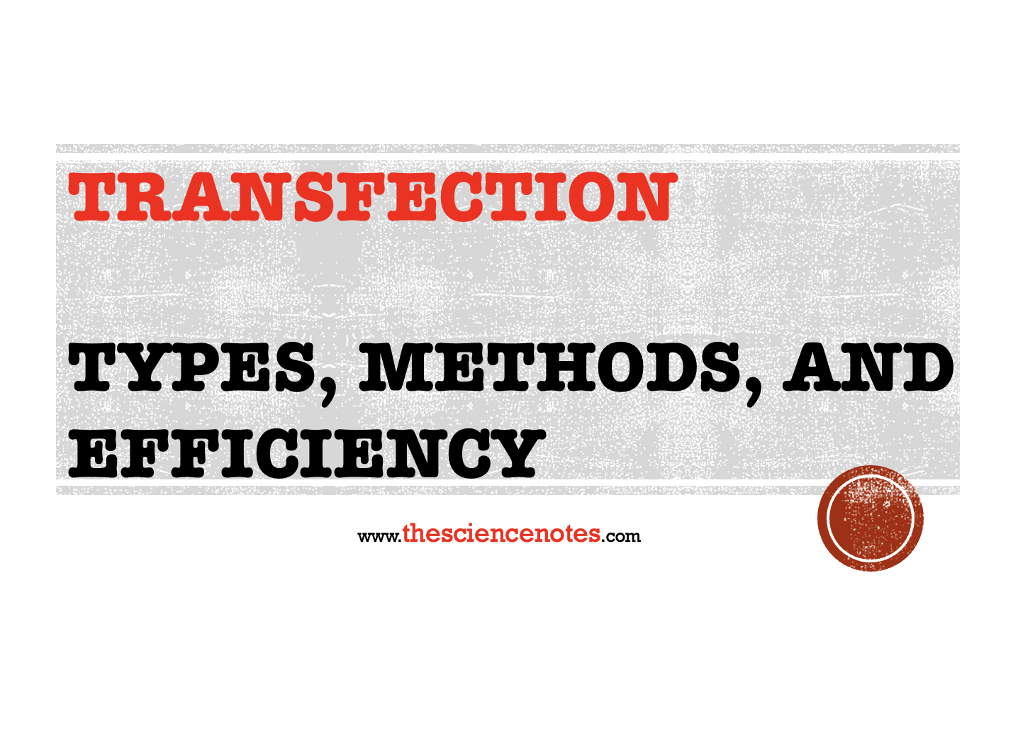 TRANSFECTION TYPES, METHODS, AND EFFICIENCY